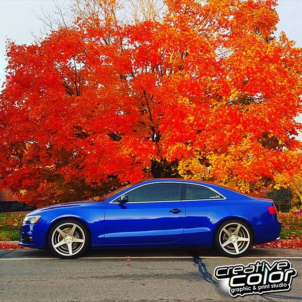 Audi wrapped in 3M 1080-G377 Gloss Cosmic Blue - Vinyl Wrap - 3M - Cars ...