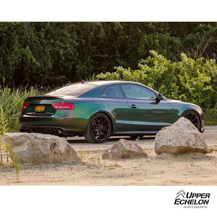 Audi A5 wrapped in Avery ColorFlow Gloss Urban Jungle Silver/Green ...