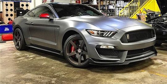 Matte Silver Mustang